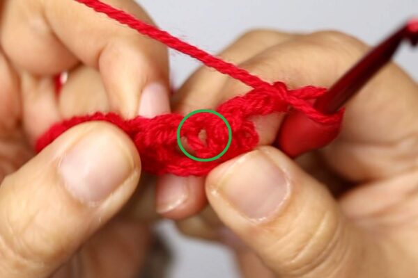 How to crochet the Elizabeth stitch (step-by-step tutorial)